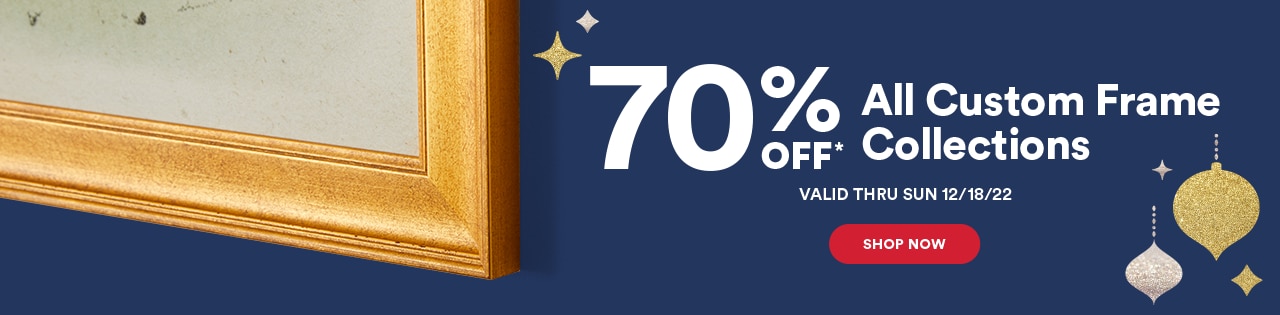 Picture Frames and Customization | Michaels Custom Framing